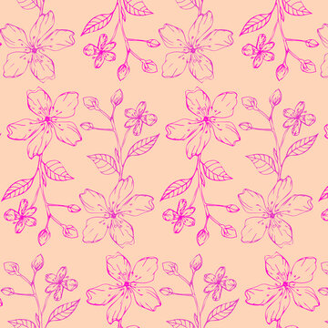 "Sakura Vector" Bilder – Durchsuchen 174 Archivfotos, Vektorgrafiken ...