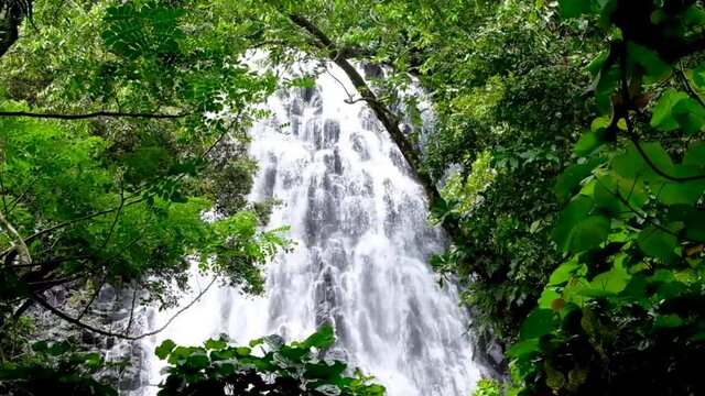 Pohnpei Imagens – Procure 918 fotos, vetores e vídeos | Adobe Stock