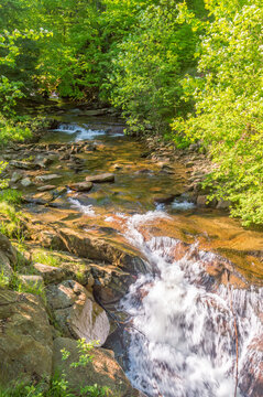 Wiselka Images – Browse 61 Stock Photos, Vectors, and Video | Adobe Stock