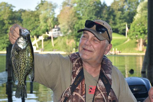 "Black Crappie" Bilder – Durchsuchen 115 Archivfotos, Vektorgrafiken ...