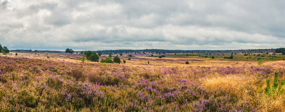 Geestlandschaft Bilder – Durchsuchen 539 Archivfotos, Vektorgrafiken ...