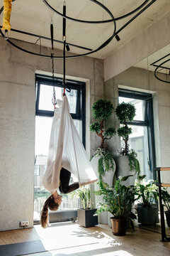 1,441,262 BEST Hangings IMAGES, STOCK PHOTOS & VECTORS | Adobe Stock