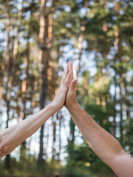 Imágenes de Unanimidad: descubre bancos de fotos, ilustraciones ...