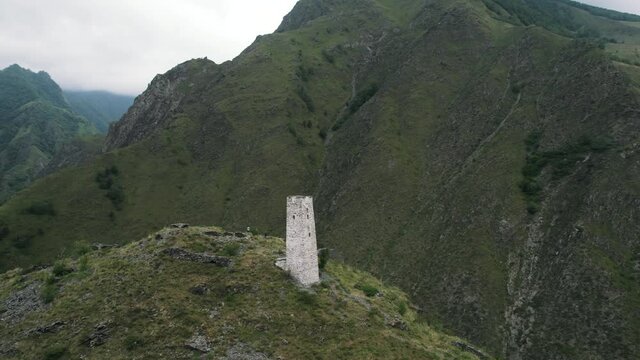 Pede Images – Browse 3,993 Stock Photos, Vectors, and Video | Adobe Stock