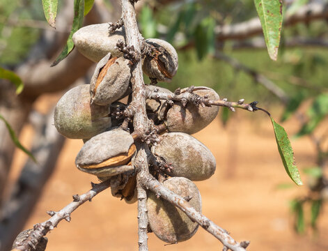 Cargado 이미지 – 찾아보기 249 스톡 사진, 벡터 및 비디오 | Adobe Stock