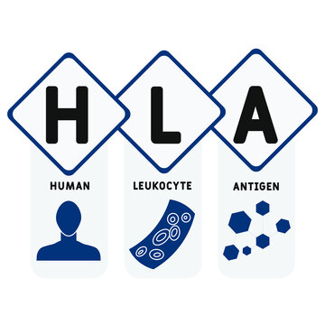 「Hla」の写真素材 | 278件の無料イラスト画像 | Adobe Stock