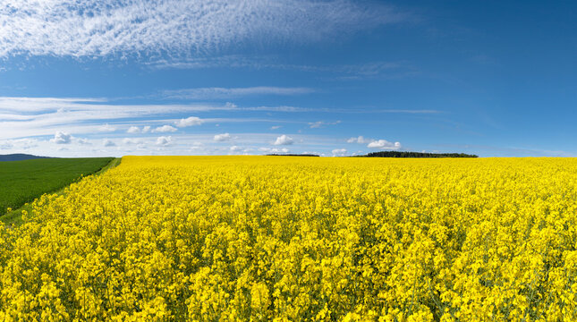 Ansteigend bilder – Bläddra bland 764 stockfoton, vektorer och videor ...
