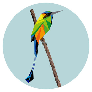 Guardabarranco Images – Browse 285 Stock Photos, Vectors, and Video ...