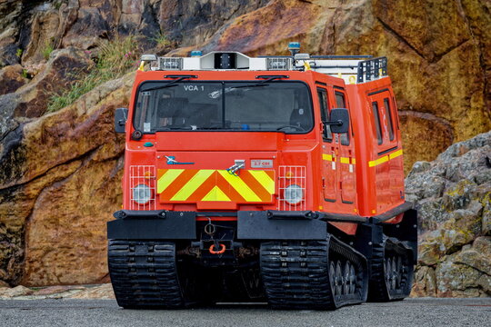 Chenillette Images – Browse 48 Stock Photos, Vectors, and Video | Adobe ...