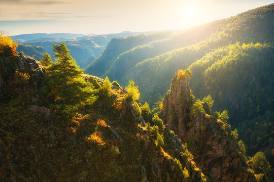 38 BEST Gil-Su IMAGES, STOCK PHOTOS & VECTORS | Adobe Stock