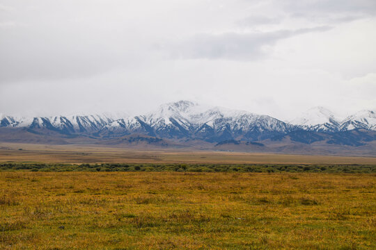 Steppe-Bilder: Stock-Fotos & -Videos. | Adobe Stock