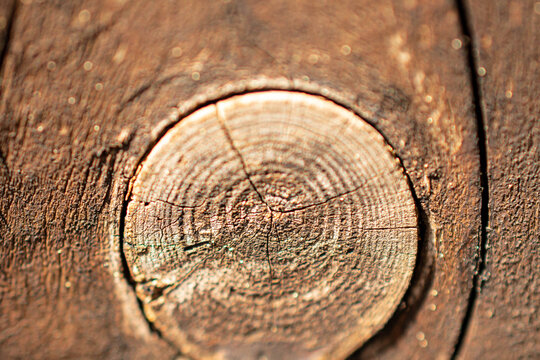 「Knag」の画像 - 898 件の Stock 写真、ベクターおよびビデオ | Adobe Stock