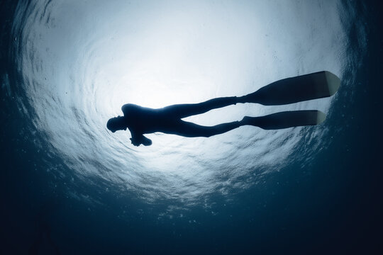 รูปภาพFreediver – เลือกดูภาพถ่ายสต็อก เวกเตอร์ และวิดีโอ10,444 | Adobe ...