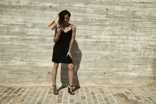 รูปภาพTranssexual – เลือกดูภาพถ่ายสต็อก เวกเตอร์ และวิดีโอ49,981 ...