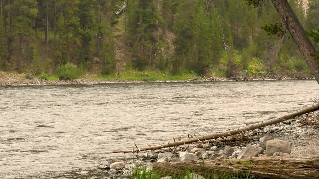 Downstream Images – Browse 11,869 Stock Photos, Vectors, and Video ...