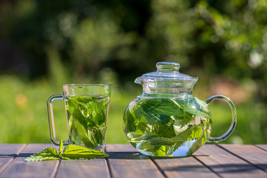 Brennesseltee Bilder – Durchsuchen 2,694 Archivfotos, Vektorgrafiken ...