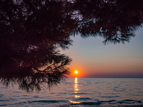 "Evening Scene" Images – Browse 845 Stock Photos, Vectors, and Video ...