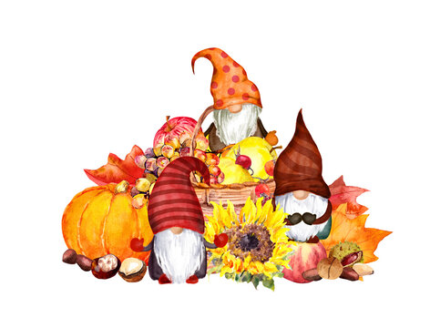 Erntedankkorb-Bilder: Stock-Fotos & -Videos. | Adobe Stock