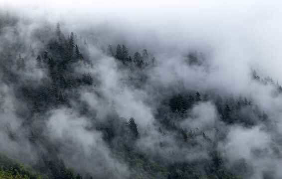 Distinctive Images – Browse 674,611 Stock Photos, Vectors, and Video ...