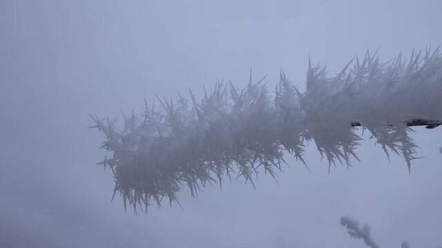 Snow Queen"」の写真素材 | 1,507件の無料イラスト画像 | Adobe Stock