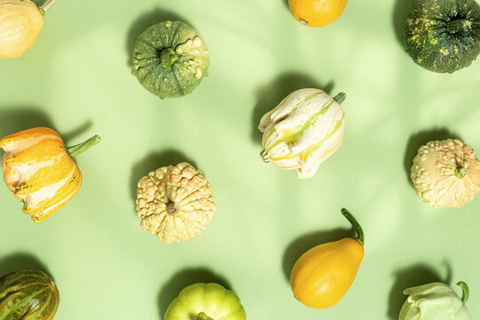 「Patisson」の画像 - 4,383 件の Stock 写真、ベクターおよびビデオ | Adobe Stock