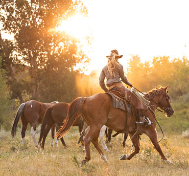 รูปภาพGrazier – เลือกดูภาพถ่ายสต็อก เวกเตอร์ และวิดีโอ319,950 | Adobe Stock