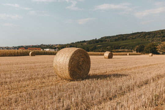 「Heurolle」の画像 - 192 件の Stock 写真、ベクターおよびビデオ | Adobe Stock