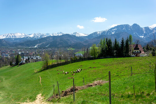 รูปภาพBarany – เลือกดูภาพถ่ายสต็อก เวกเตอร์ และวิดีโอ165 | Adobe Stock