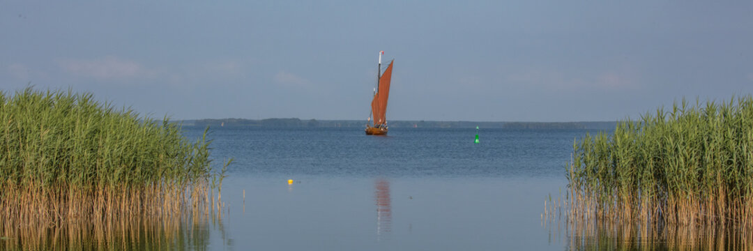 Zeese Bilder – Durchsuchen 183 Archivfotos, Vektorgrafiken und Videos ...