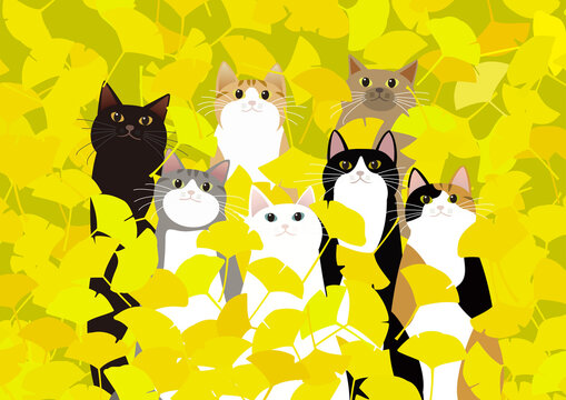 Enjoi Cat Wallpaper