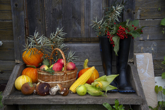 Cornucopia Background Images – Browse 8,871 Stock Photos, Vectors, and ...