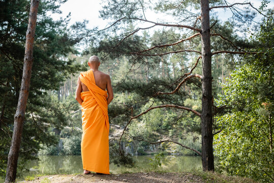 รูปภาพSanghati – เลือกดูภาพถ่ายสต็อก เวกเตอร์ และวิดีโอ3,283 | Adobe Stock