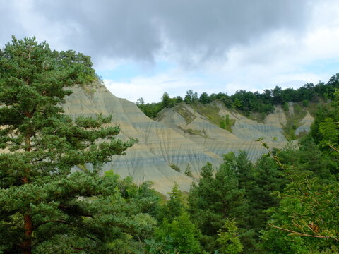 รูปภาพRavins – เลือกดูภาพถ่ายสต็อก เวกเตอร์ และวิดีโอ118 | Adobe Stock
