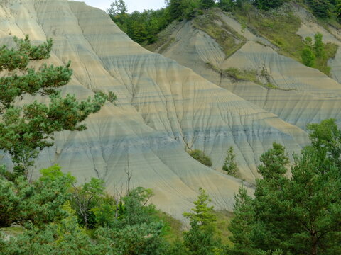 รูปภาพRavins – เลือกดูภาพถ่ายสต็อก เวกเตอร์ และวิดีโอ118 | Adobe Stock