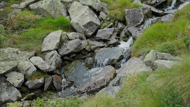 Affluente bilder – Bläddra bland 246 stockfoton, vektorer och videor ...