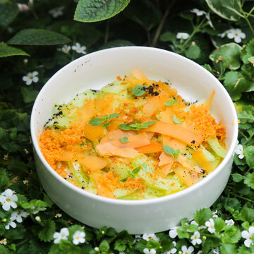 รูปภาพButarga – เลือกดูภาพถ่ายสต็อก เวกเตอร์ และวิดีโอ810 | Adobe Stock