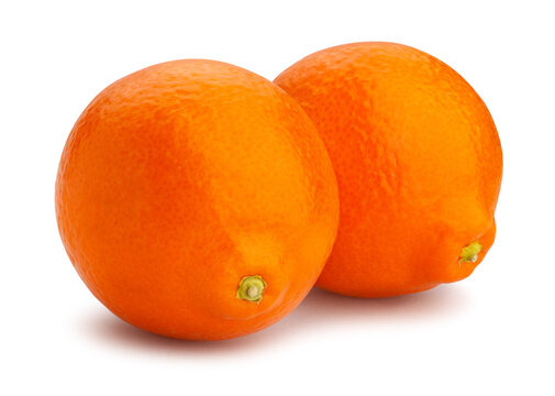 Tangelo Bilder – Durchsuchen 1,955 Archivfotos, Vektorgrafiken und ...