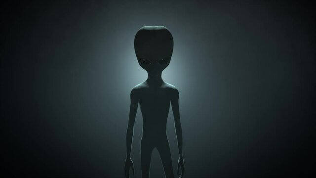 "Little Green Man" Images – Browse 589 Stock Photos, Vectors, and Video ...