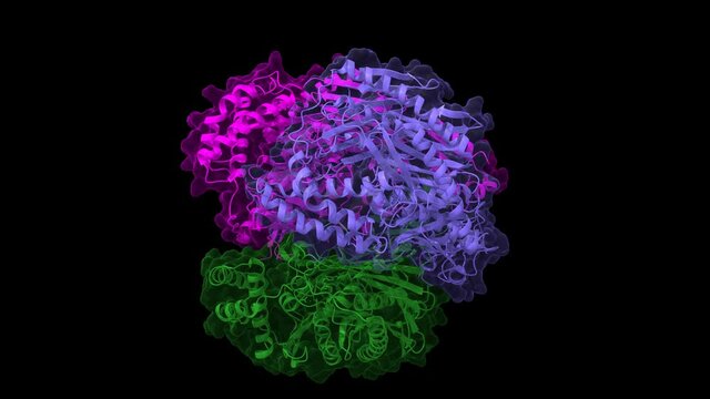 Polynucleotide Images – Browse 655 Stock Photos, Vectors, and Video ...