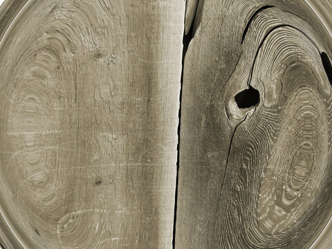 Knothole 이미지 – 찾아보기 1,633 스톡 사진, 벡터 및 비디오 | Adobe Stock