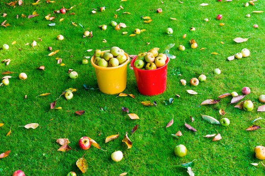 รูปภาพStreu – เลือกดูภาพถ่ายสต็อก เวกเตอร์ และวิดีโอ3,202 | Adobe Stock