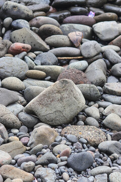 รูปภาพPabbles – เลือกดูภาพถ่ายสต็อก เวกเตอร์ และวิดีโอ218 | Adobe Stock