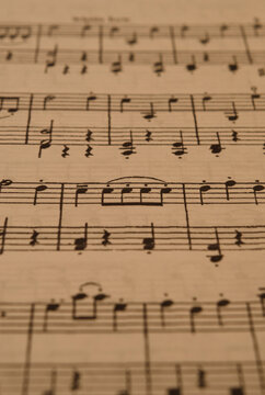 Viertelpause Bilder – Durchsuchen 790 Archivfotos, Vektorgrafiken und ...