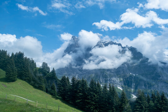 Mattenberg Images – Browse 62 Stock Photos, Vectors, and Video | Adobe ...