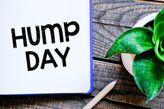 Afbeeldingen over "Hump Day" – Blader in stockfoto's, vectoren en video ...