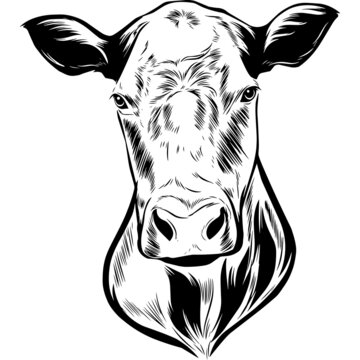 Black Angus Vector Images – Browse 7,198 Stock Photos, Vectors, and ...