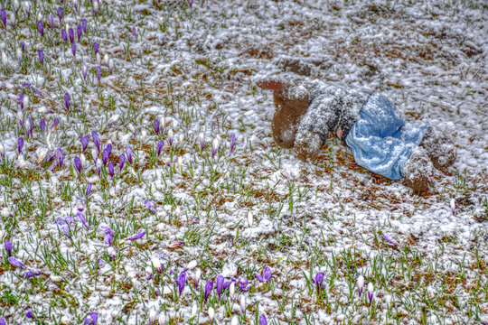 Gestolpert Images – Browse 29 Stock Photos, Vectors, and Video | Adobe ...