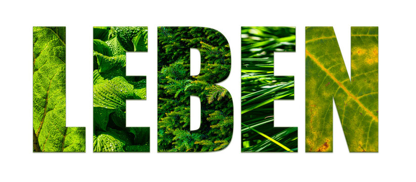 Imágenes de Lebenszeichen: descubre bancos de fotos, ilustraciones ...