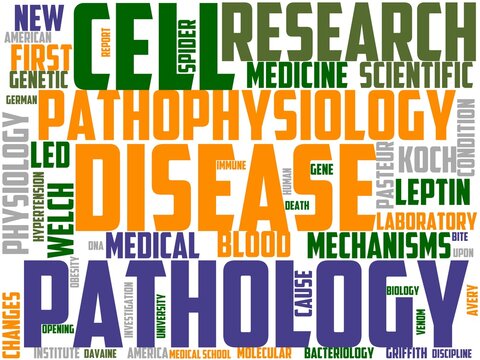 Pathophysiology Bilder – Durchsuchen 292 Archivfotos, Vektorgrafiken ...