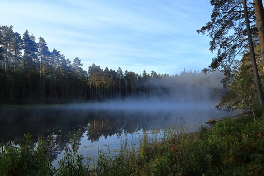 "Swedish Nature" Bilder – Durchsuchen 1,111 Archivfotos, Vektorgrafiken ...